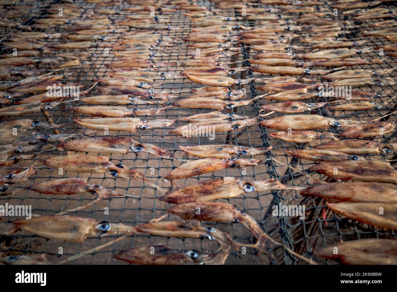 Squid drying in the sun hi-res stock photography and images - Alamy