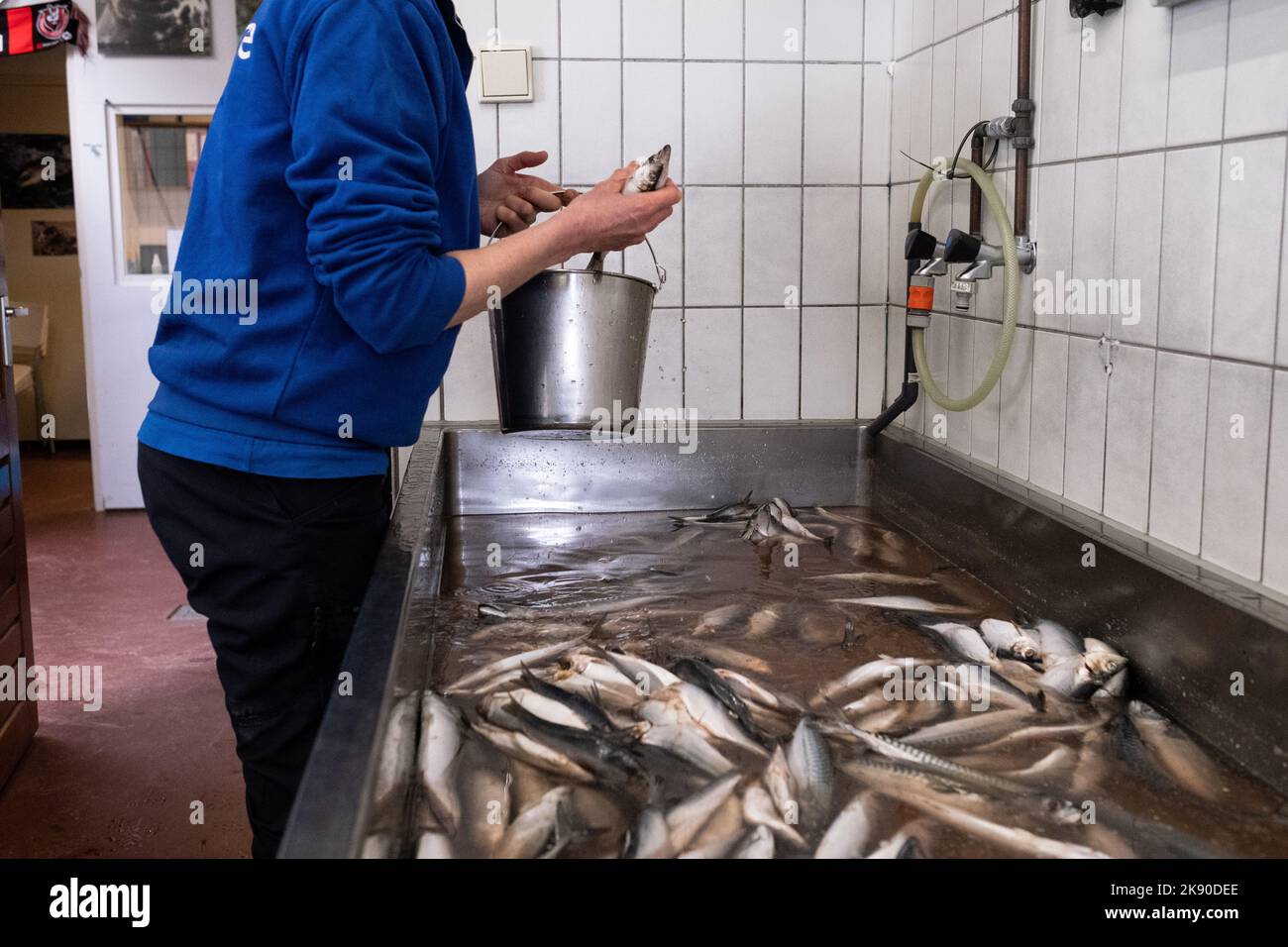 The Netherlands, Texel, 2022-02-25. Ecomare is a Dutch oceanographic ...