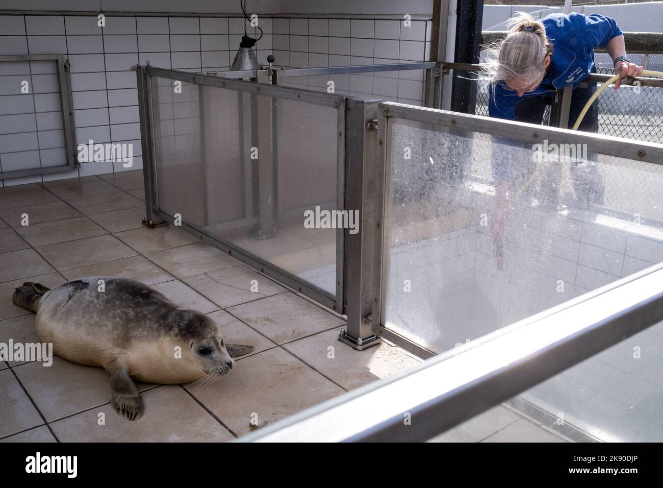 The Netherlands, Texel, 2022-02-25. Ecomare is a Dutch oceanographic ...