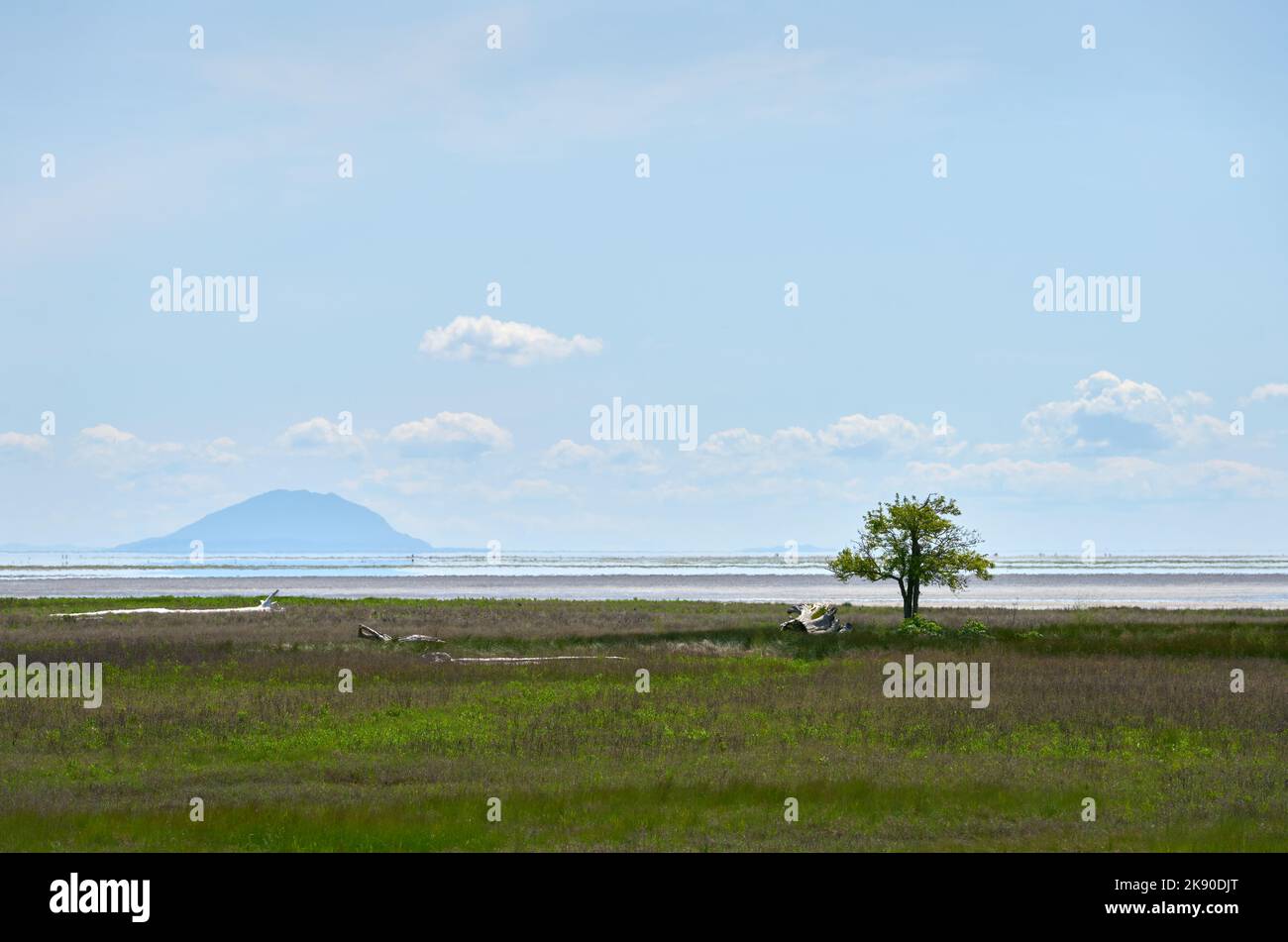 Boundary Bay Regional Park Salish Sea. The view out to the Salish Sea ...