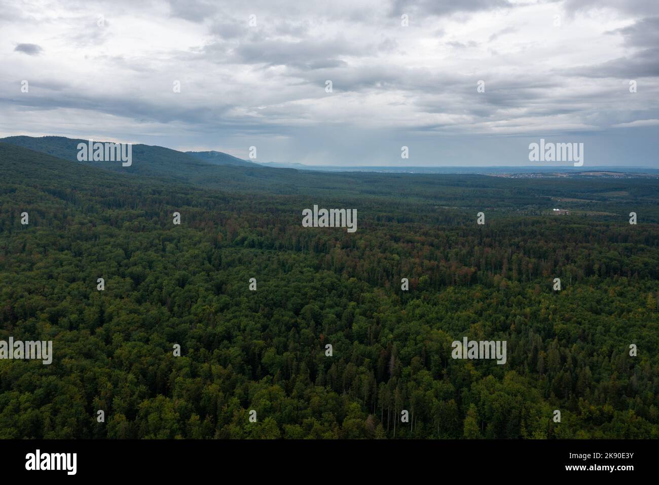 Stunning view of layered mountain ranges covered with dense pine forest and green valley under ...