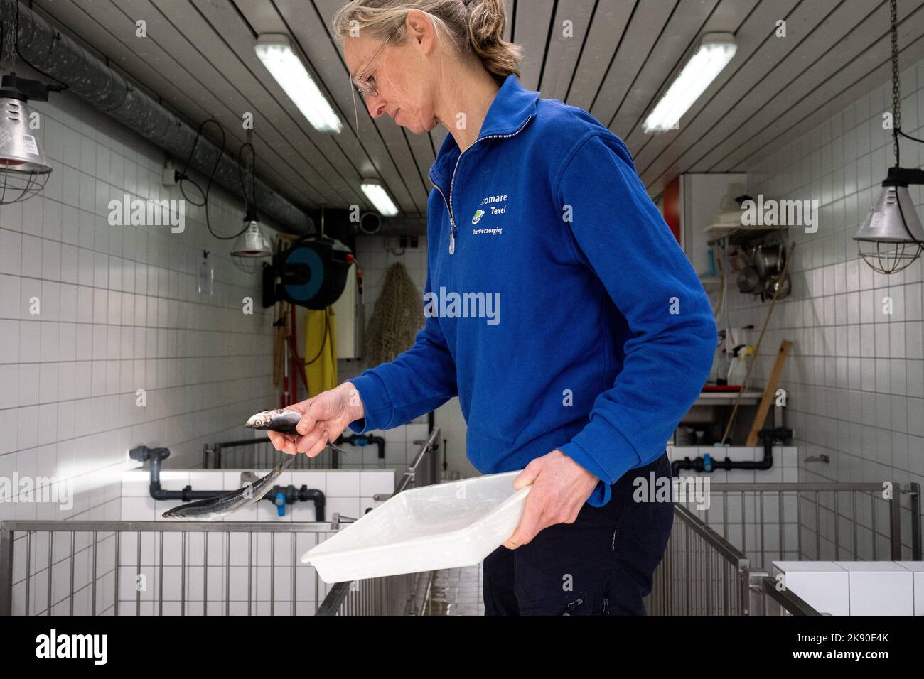 The Netherlands, Texel, 2022-02-25. Ecomare is a Dutch oceanographic ...