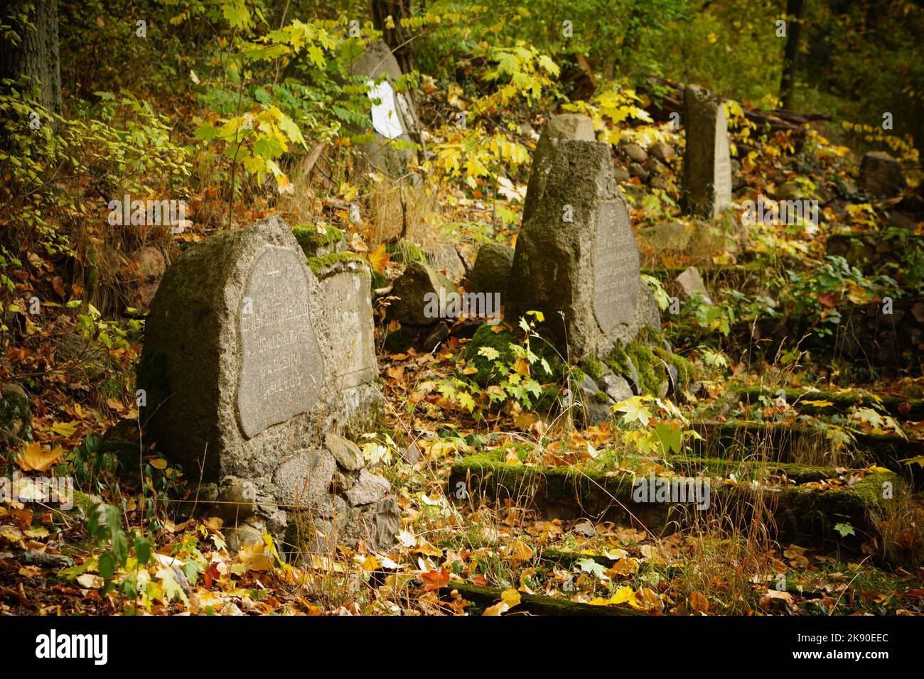 The noble Treskow family graves in Owinska Forest in Poland Stock Photo ...