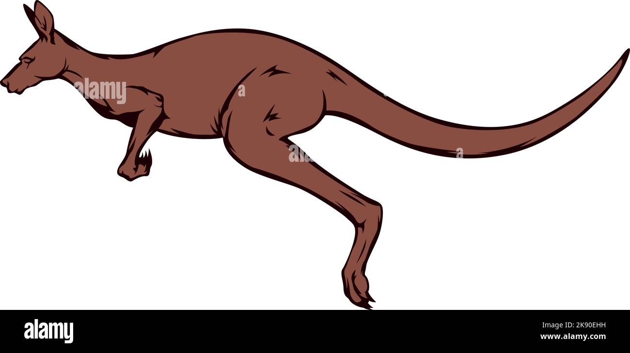 Side View of Jumping Kangaroo Stock Vector Image & Art - Alamy