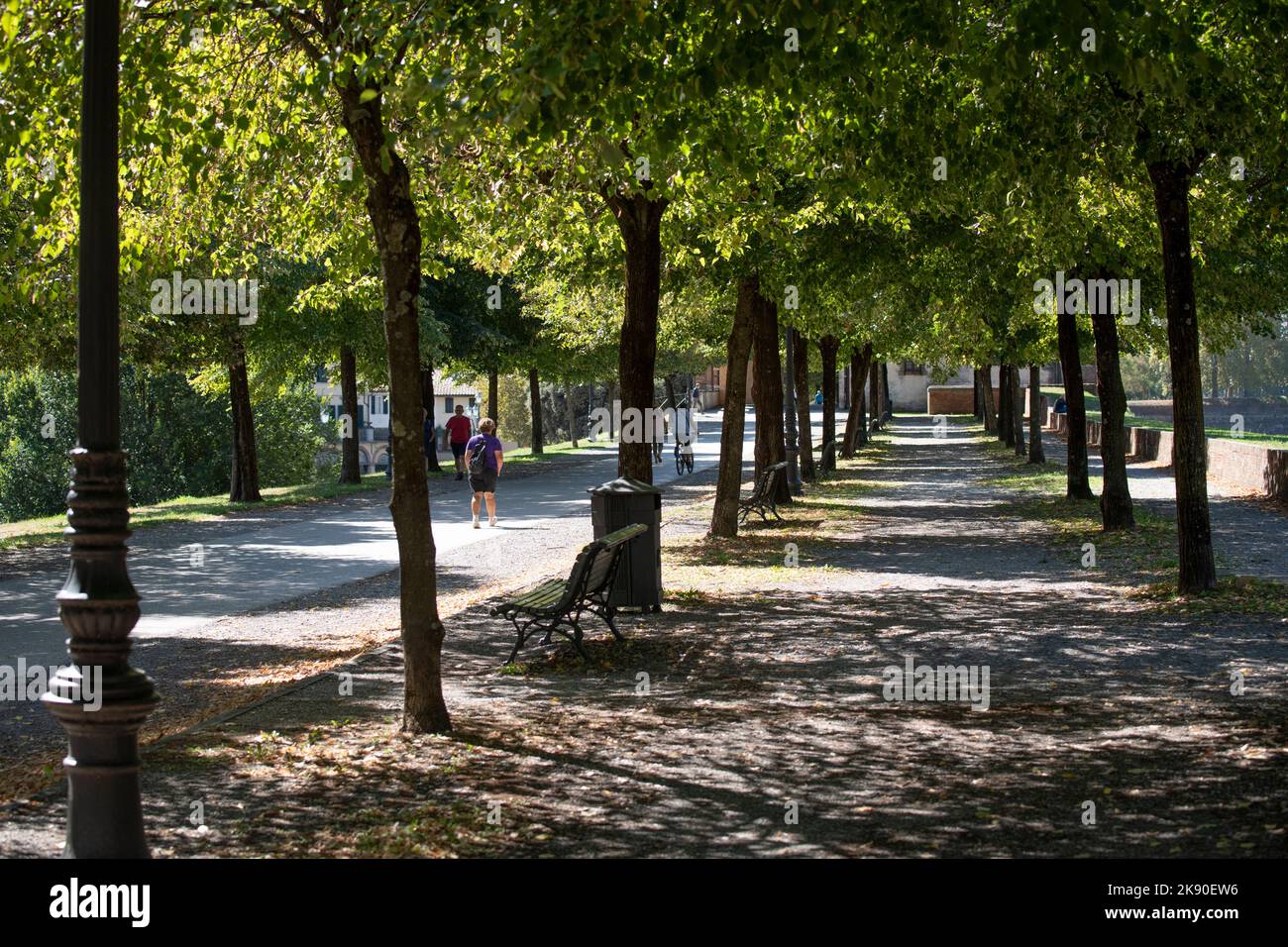Lucca Tuscany Italy September 2022 Lucca is a city and comune in ...
