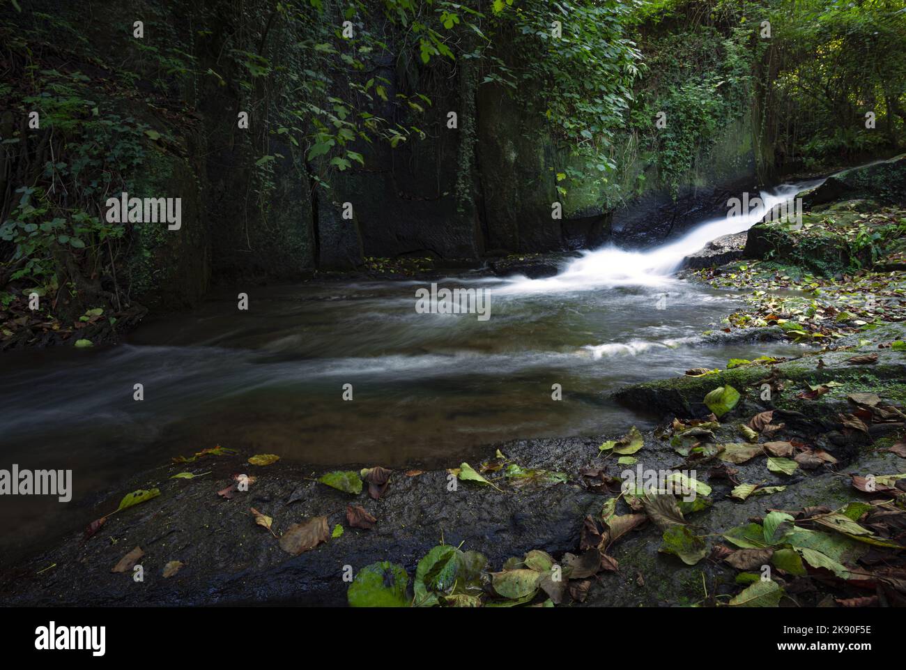 A scenic view of a waterfall on Cascate di Monte Gelato mushroom river ...