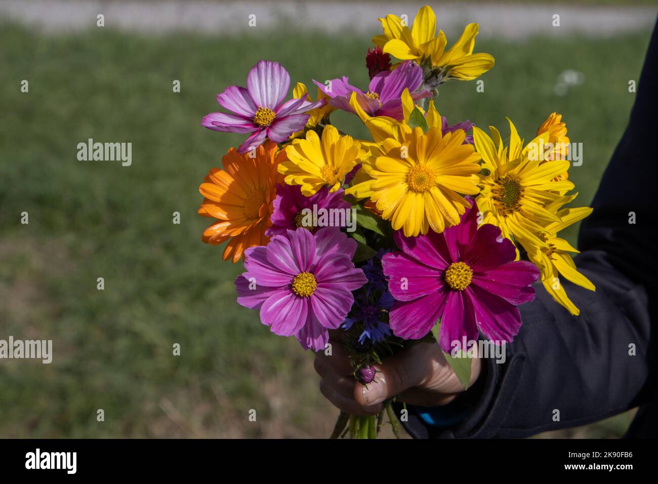 Hand holding flower hi-res stock photography and images - Alamy