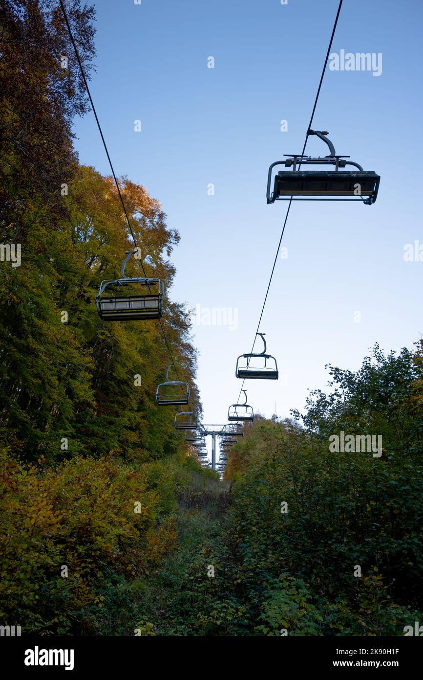 A vertical shot of a ropeway over the colorful dense trees under the ...