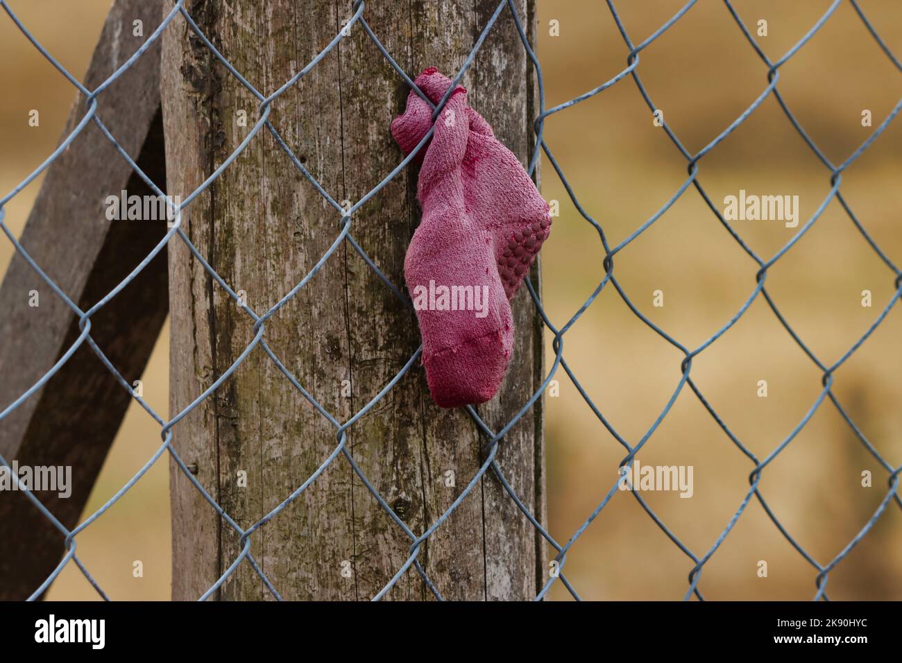 A closeup shot of a pink sock on a Chain Link Fence Stock Photo - Alamy