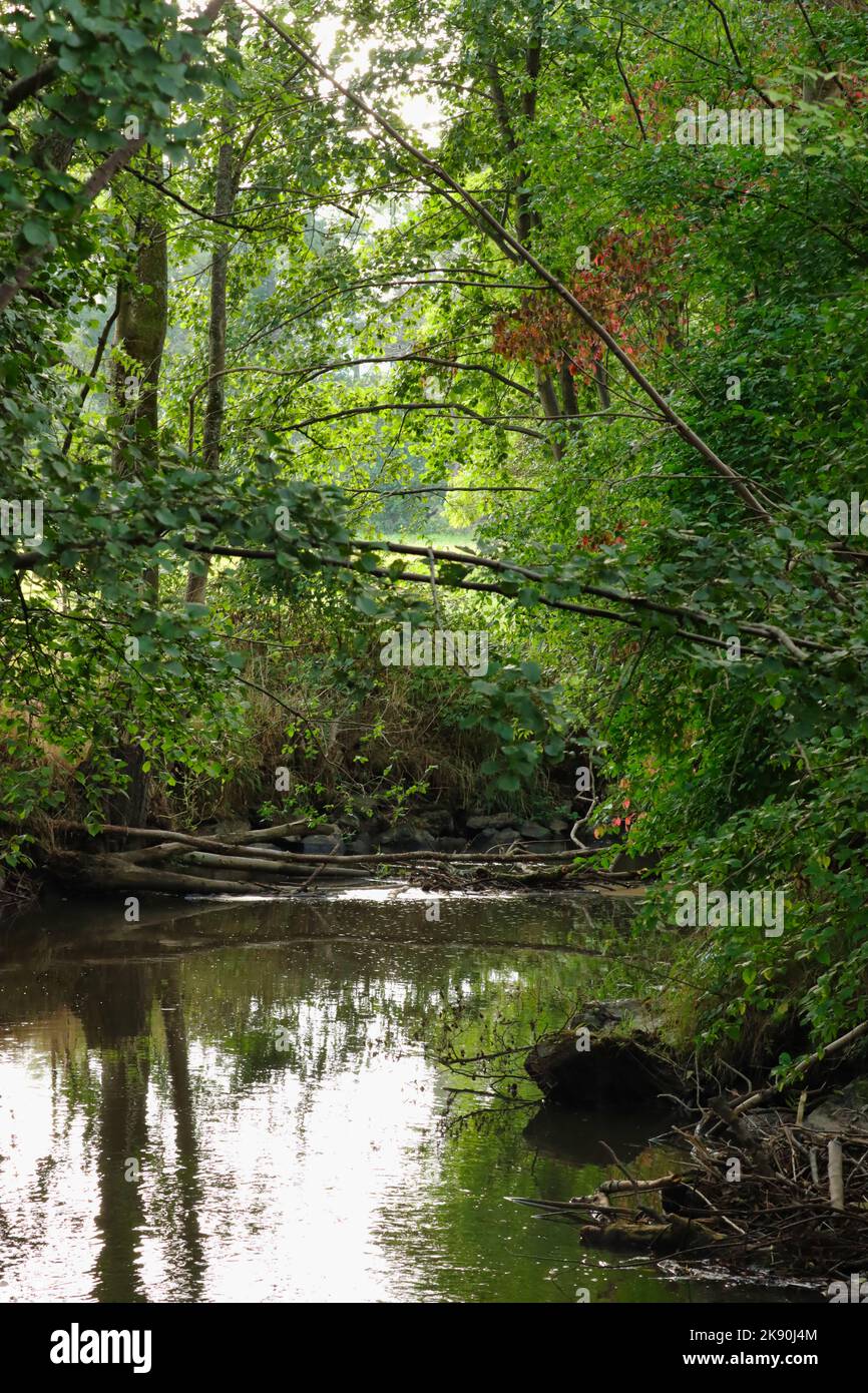 A vertical shot of the riverside Stock Photo - Alamy
