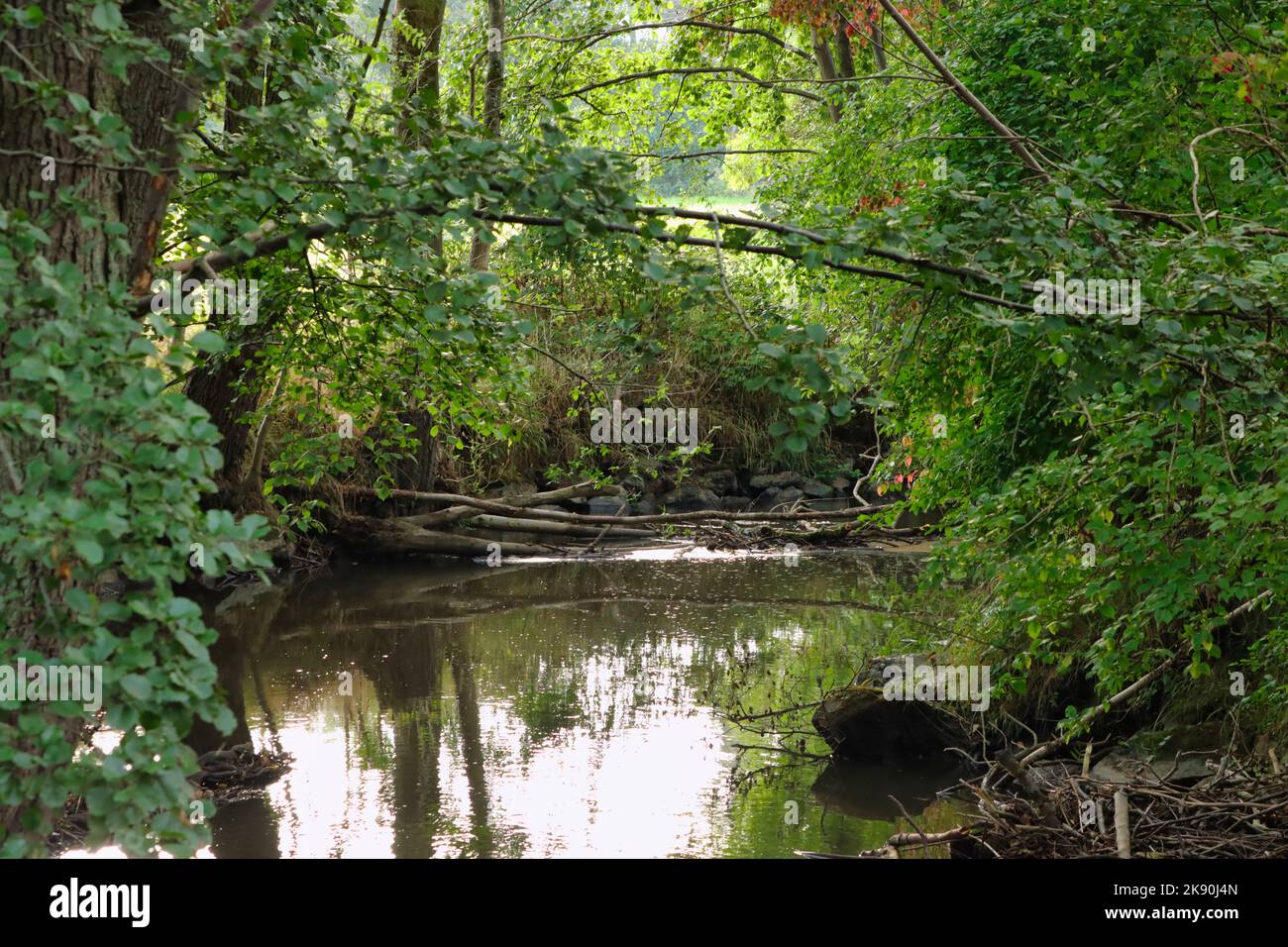 A landscape view of the riverside Stock Photo - Alamy