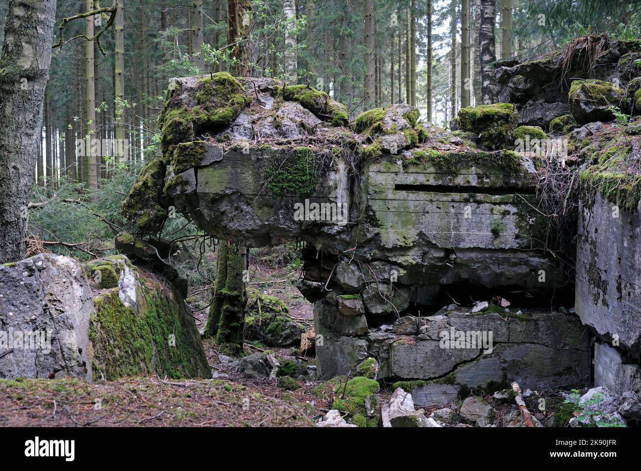 Remains of a bunker in the Hurtgen Forest in Germany Stock Photo - Alamy