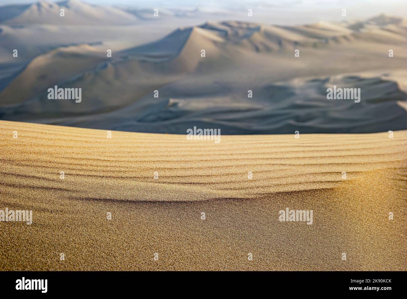 A high-angle of sunlit sand dunes in the Sahara Desert, sand hills ...