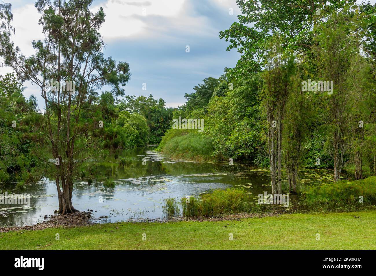 Eco lake at the Singapore Botanic Gardens Stock Photo - Alamy