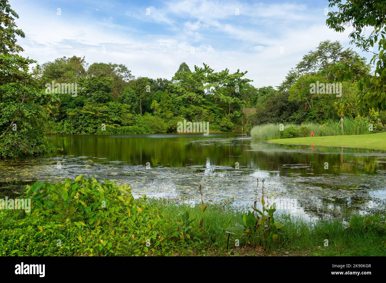 Eco lake at the Singapore Botanic Gardens Stock Photo - Alamy