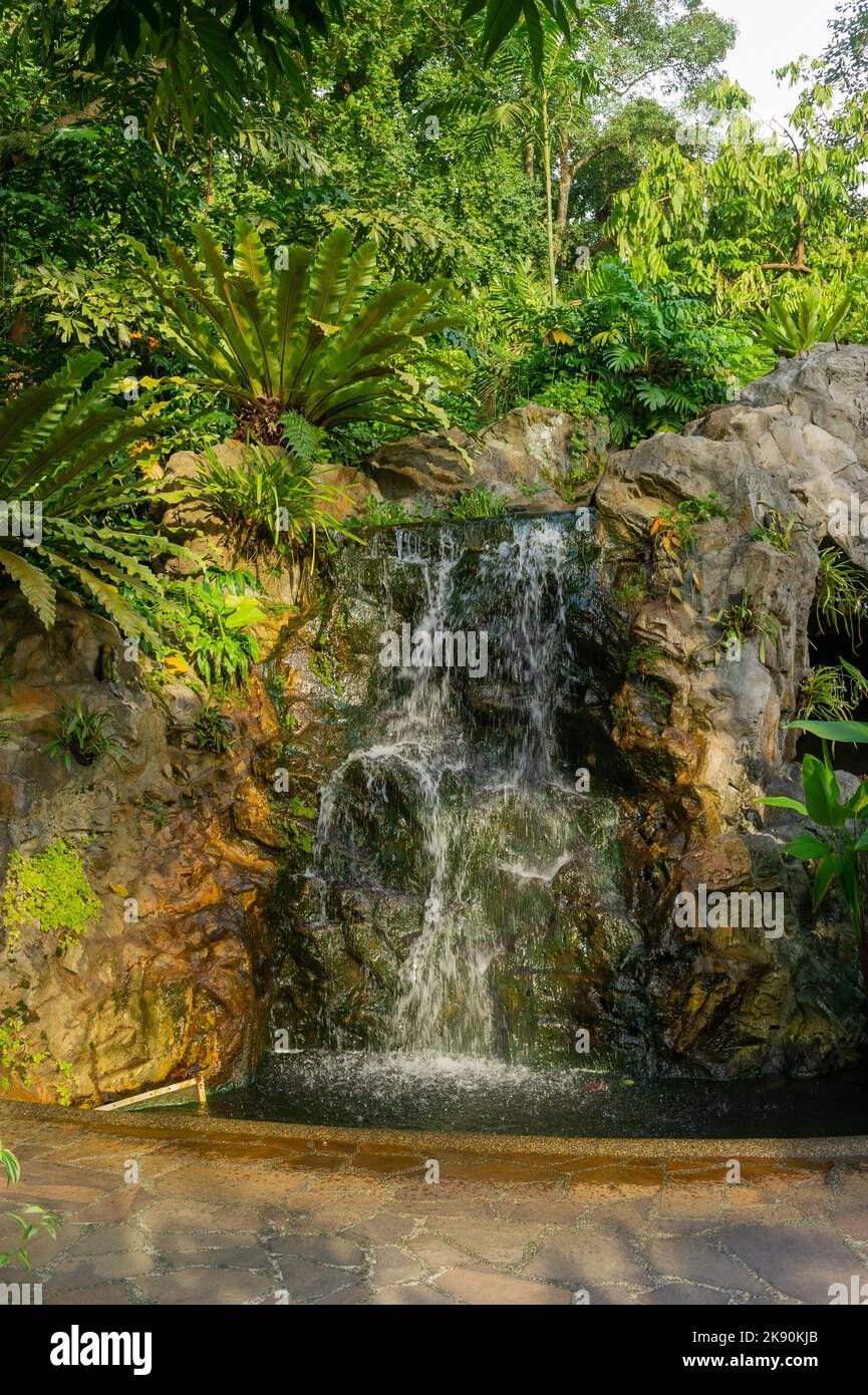 A waterfall in the Singapore Botanic Gardens on a dry sunny day Stock ...