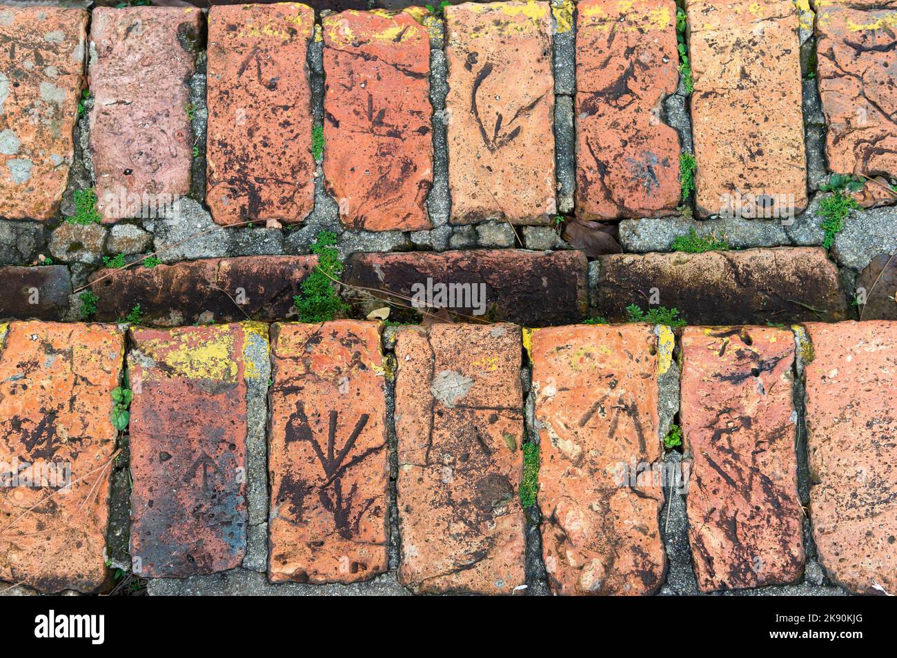 Bricks made by Japanese Prisoners of War at the Singapore Botanic ...