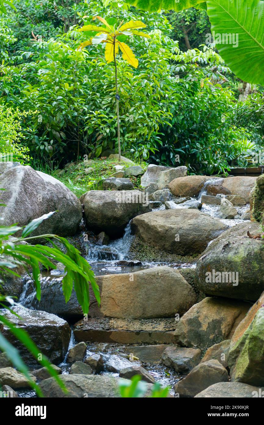 A waterfall in the Singapore Botanic Gardens on a dry sunny day Stock ...