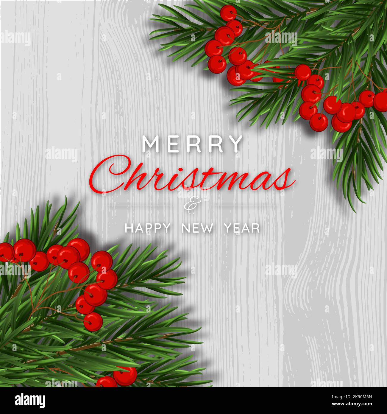 Christmas banner with fir tree branches and holy berry. Christmas tree ...
