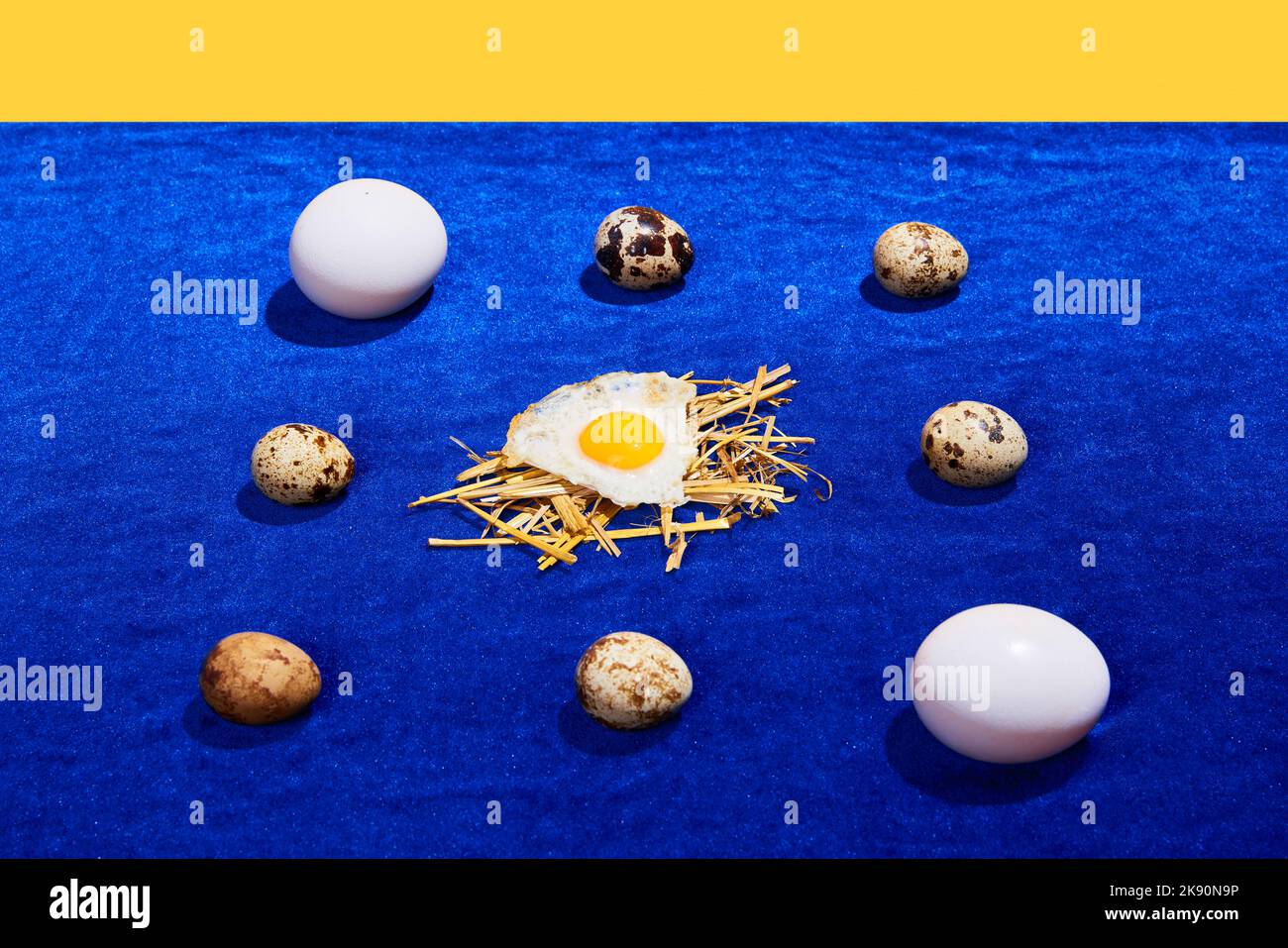 Food pop art photography. Composition with quail and chicken eggs on ...
