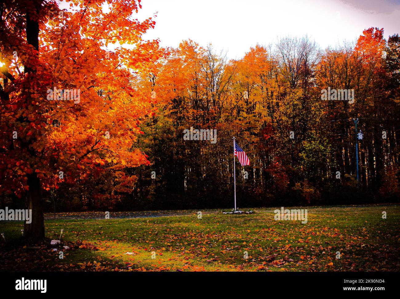 Fall landscape of autumn trees an a American flag flying Stock Photo ...