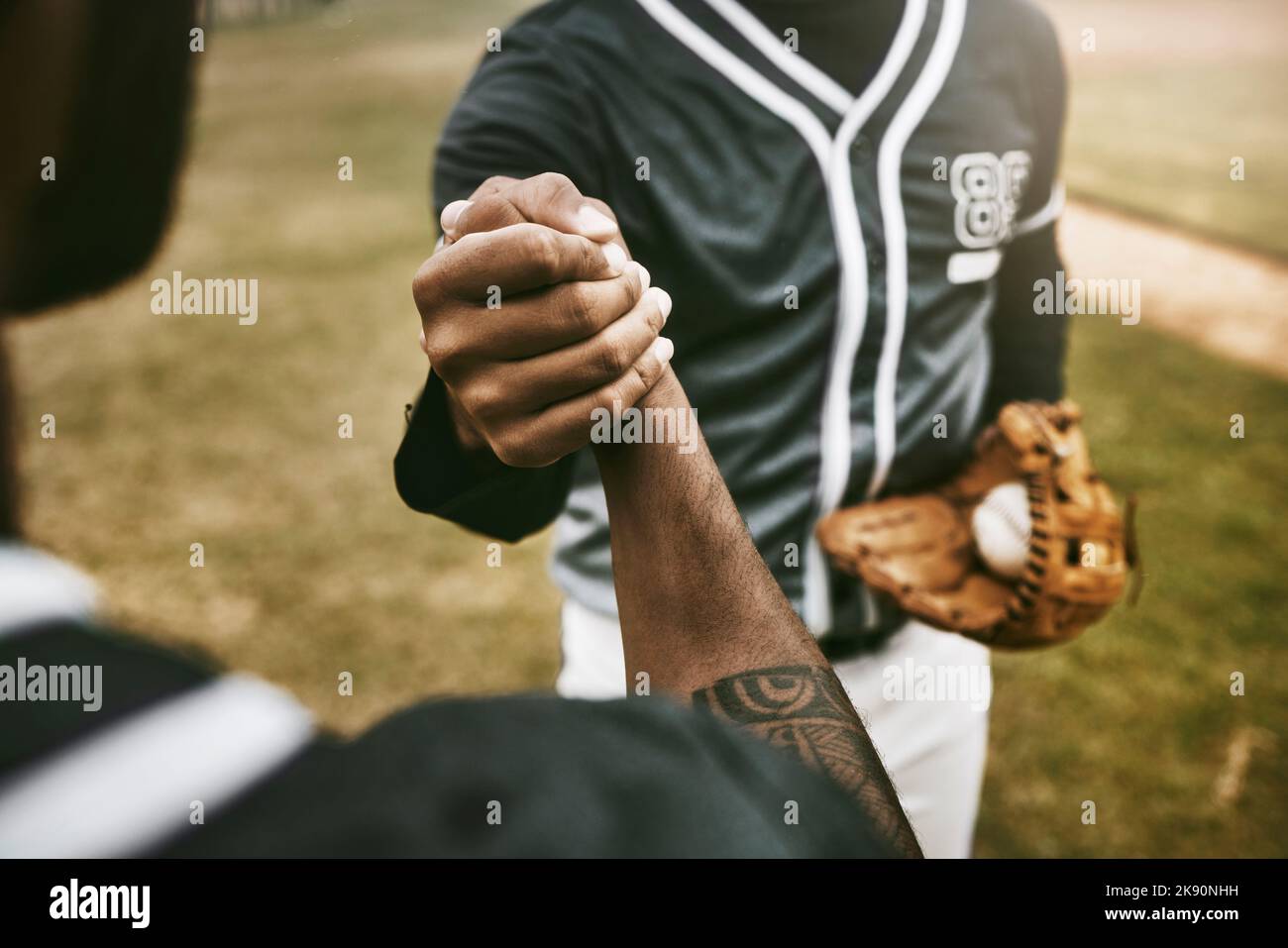 Baseball, handshake and men shaking hands to welcome, thank you or ...