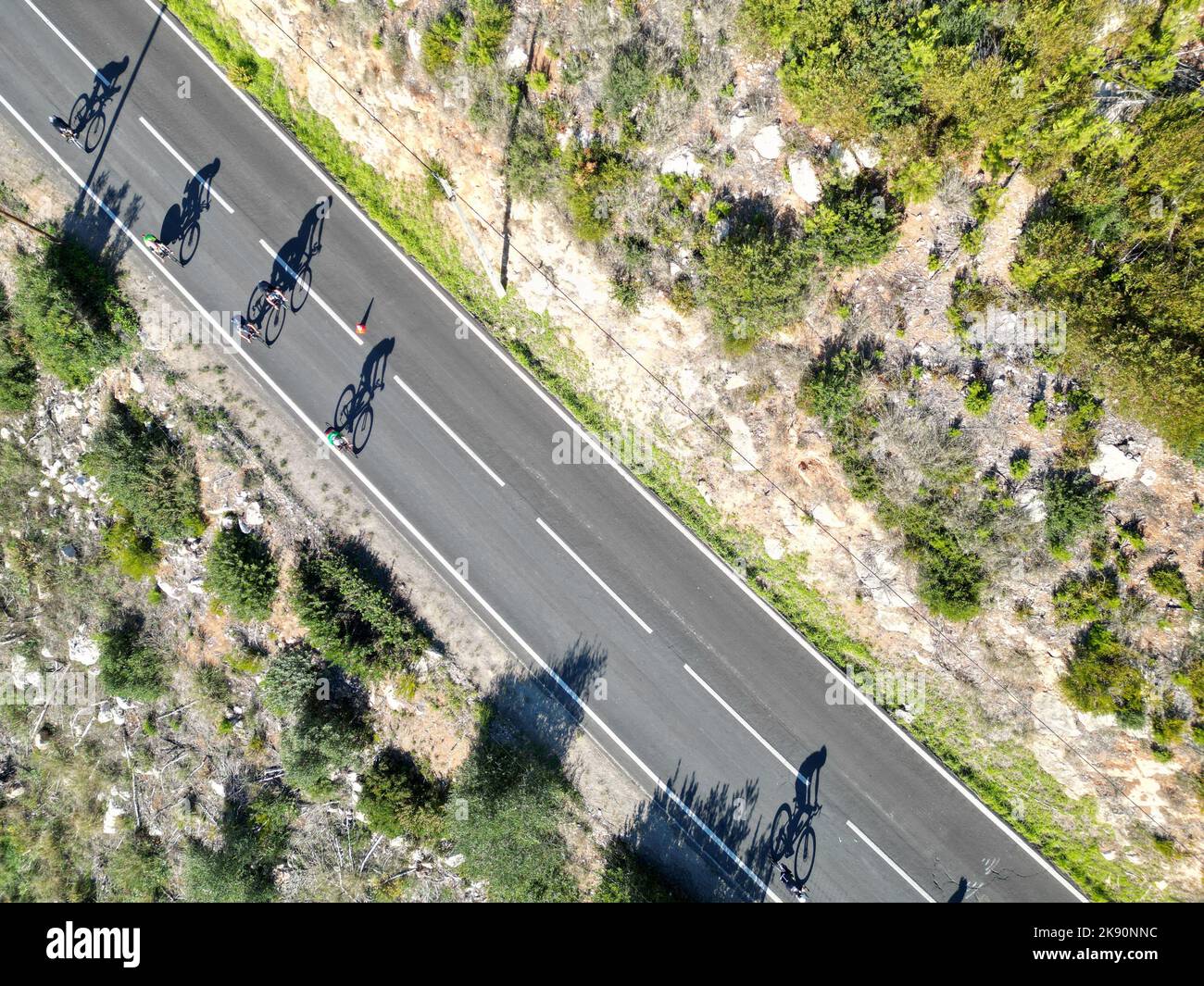 An aerial top view of cyclists and their shadows on an asphalt road ...