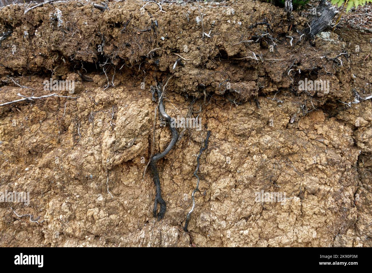 Various types of rock formations on volcanic islands Stock Photo - Alamy