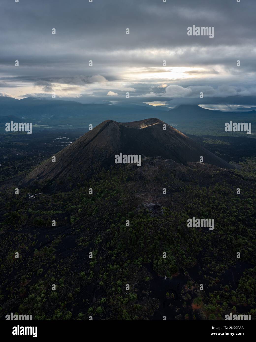 Vertical shot big dense hi-res stock photography and images - Alamy