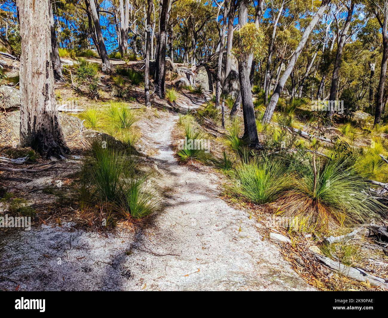 BINALONG BAY, AUSTRALIA - SEPTEMBER 19, 2022: Bay of Fires Trail as ...