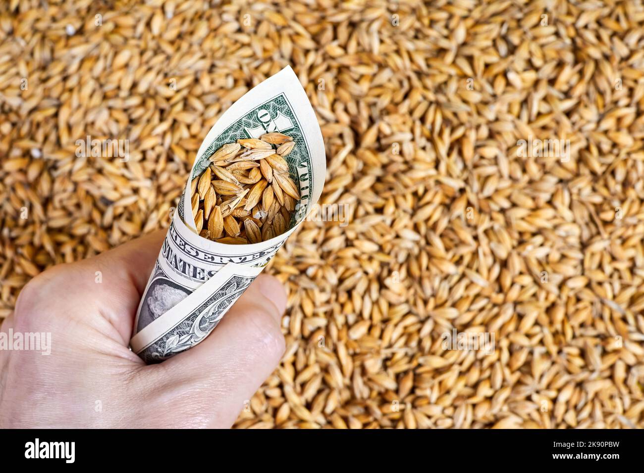 Man holding in his hand A rolled up dollar bill with barley grains ...