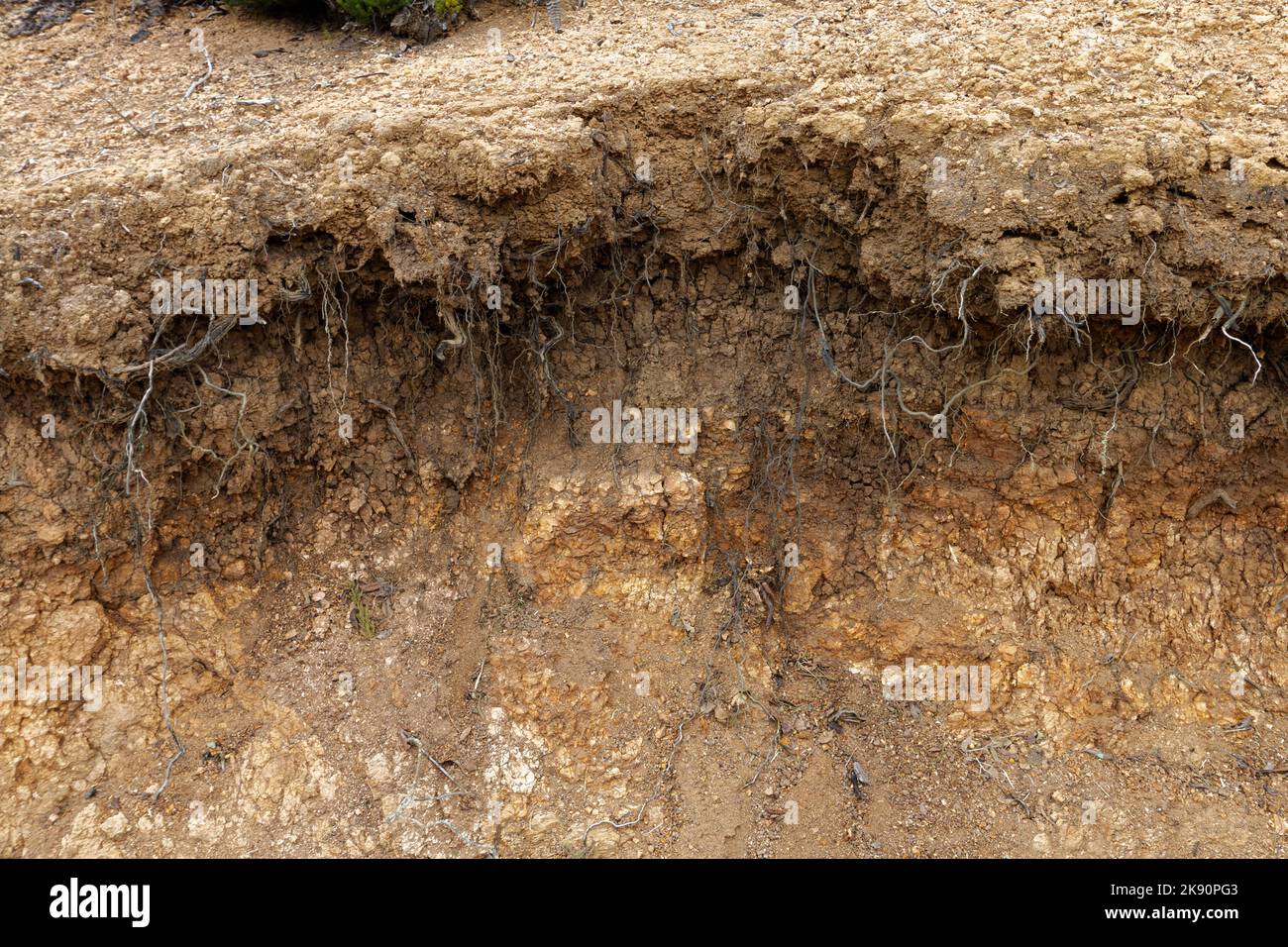 Various types of rock formations on volcanic islands Stock Photo - Alamy