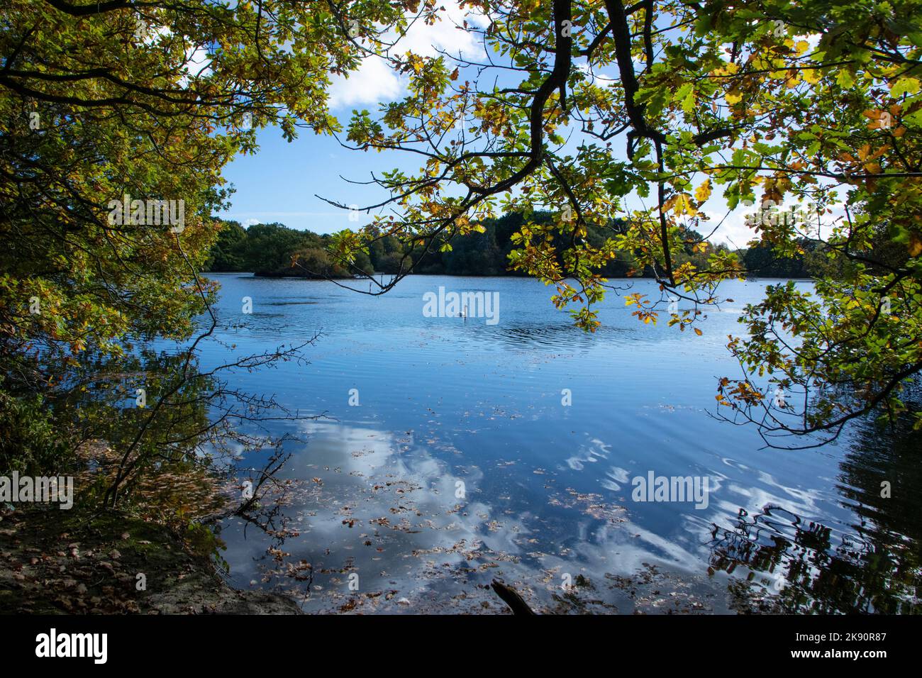 Blue ponds hi-res stock photography and images - Alamy