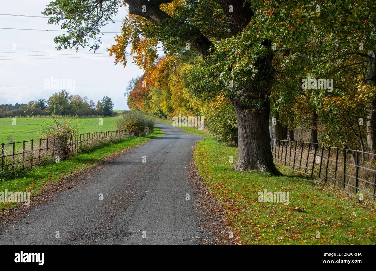 Colour view hi-res stock photography and images - Alamy