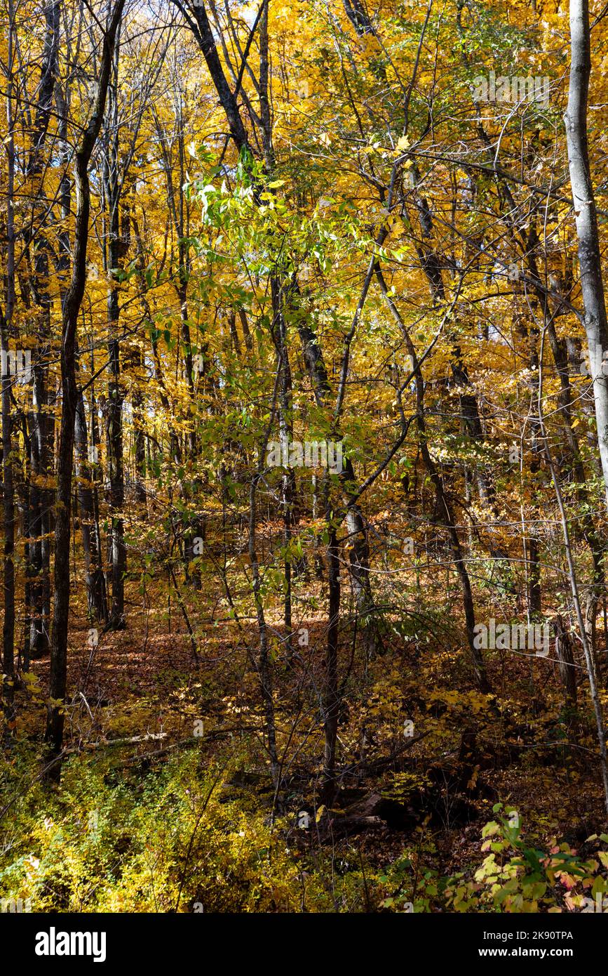 Photograph of Devil's Lake State Park on a gorgeous autumn morning ...
