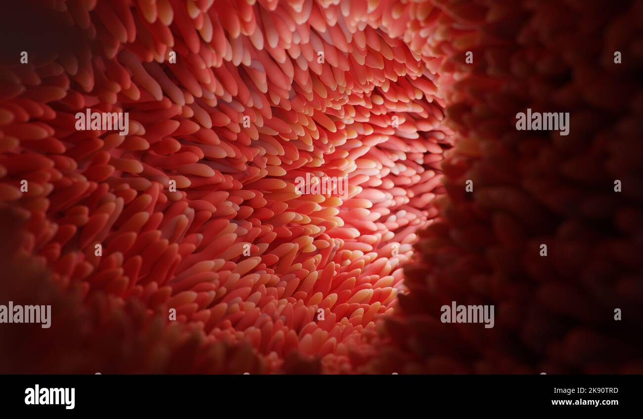 Microvilli on surface of digestive system or intestinal tract. 3D ...