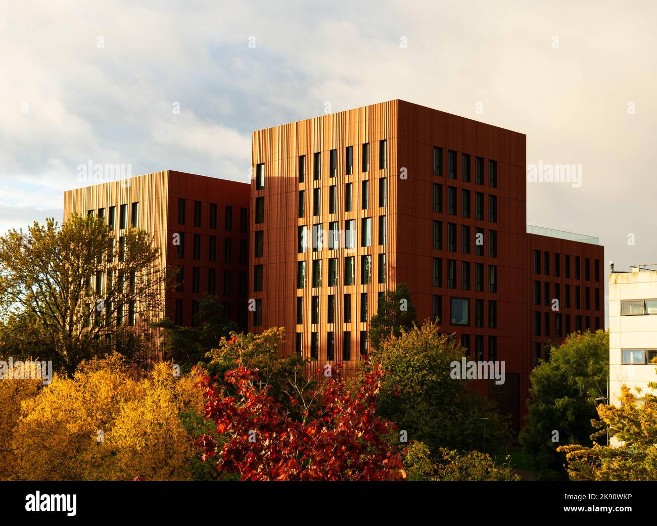 A scenic view of the University of Warwick surrounded by autumn trees ...
