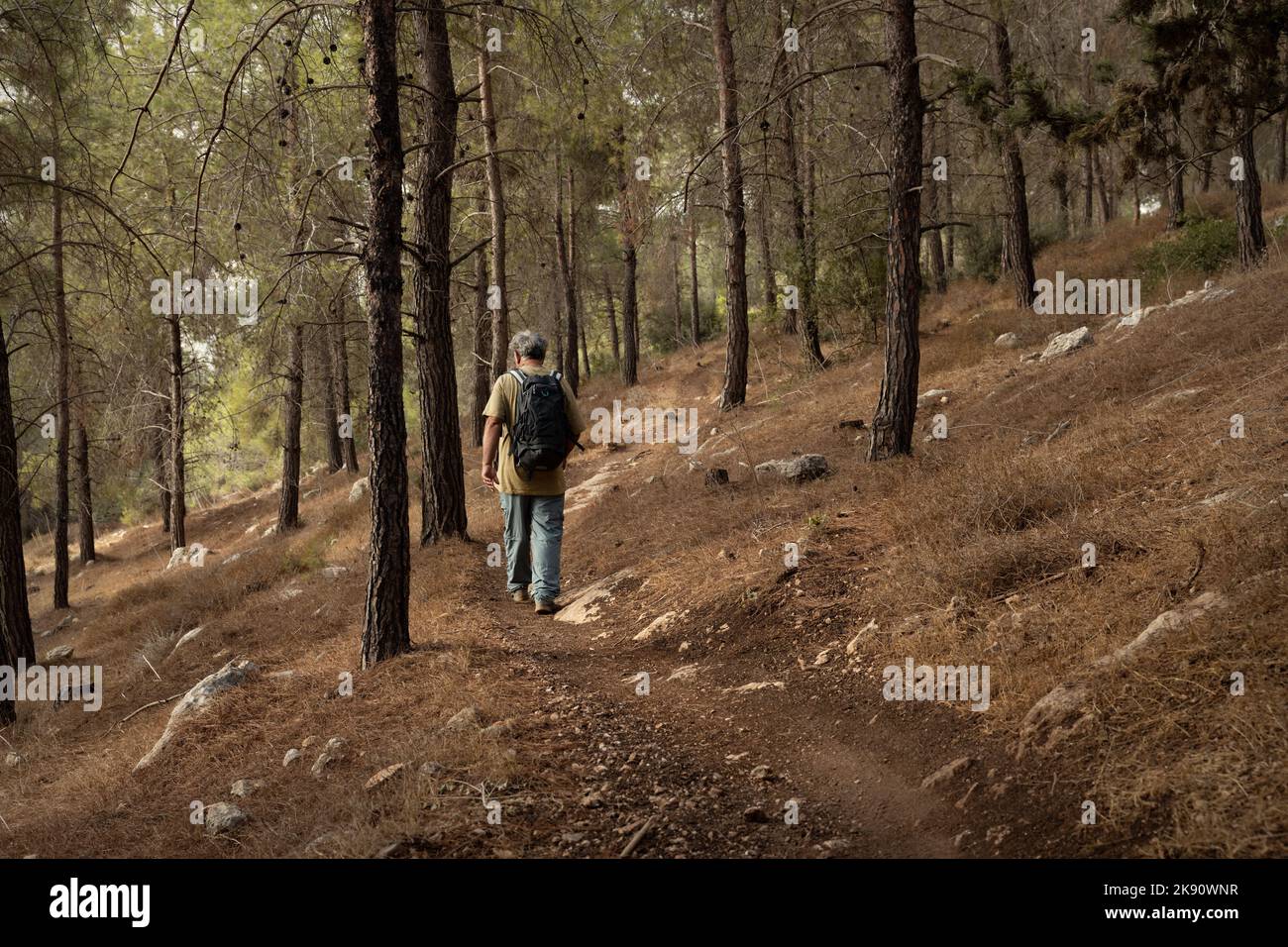 backpacker walking in a forest, Galilee, israel Stock Photo - Alamy