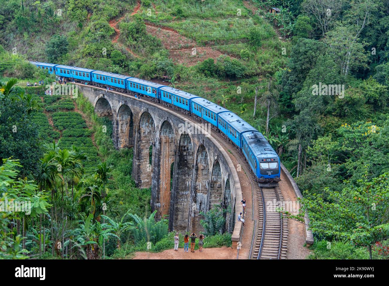Sri lanka matara whale hi-res stock photography and images - Alamy