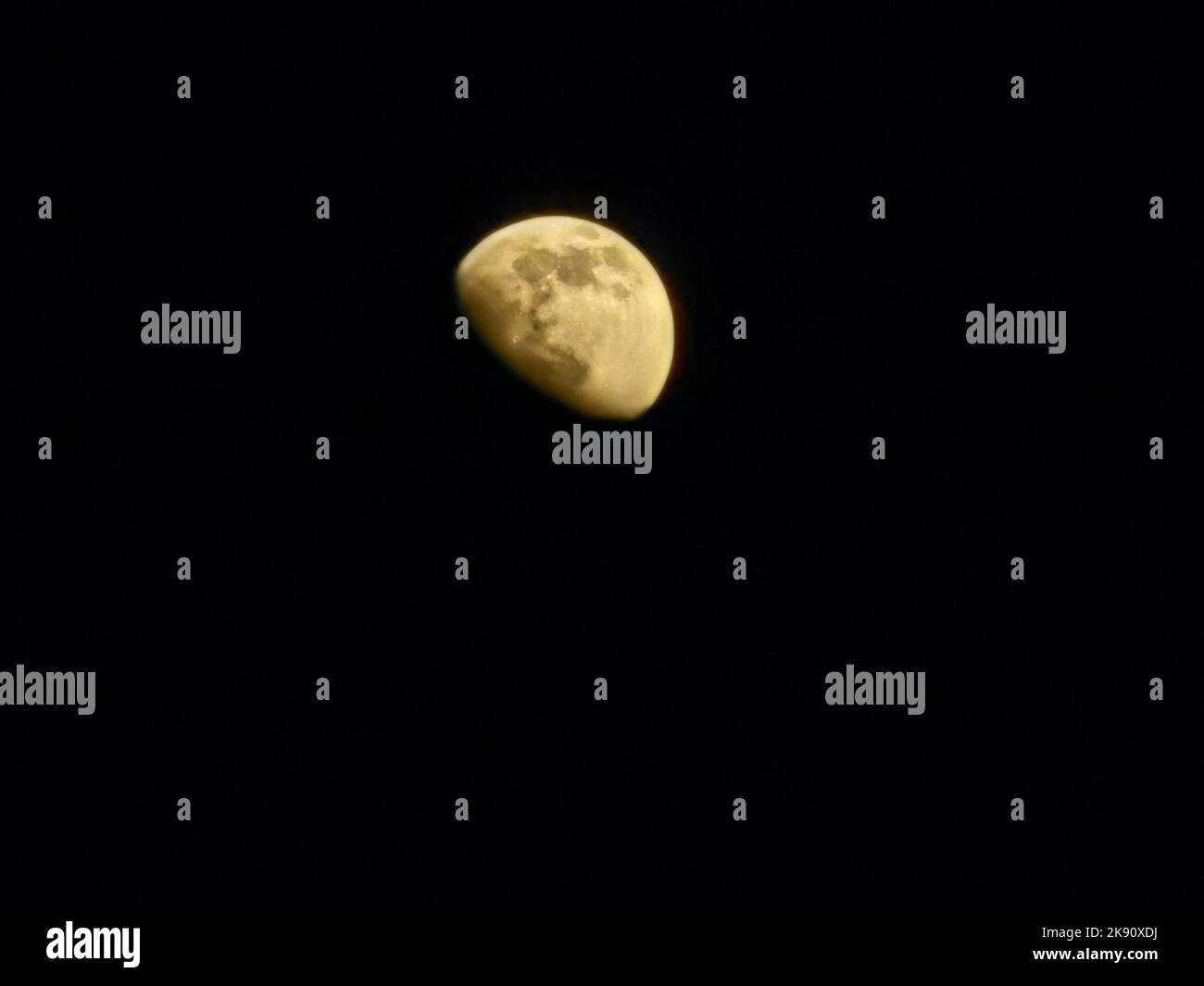 Golden half hi-res stock photography and images - Alamy