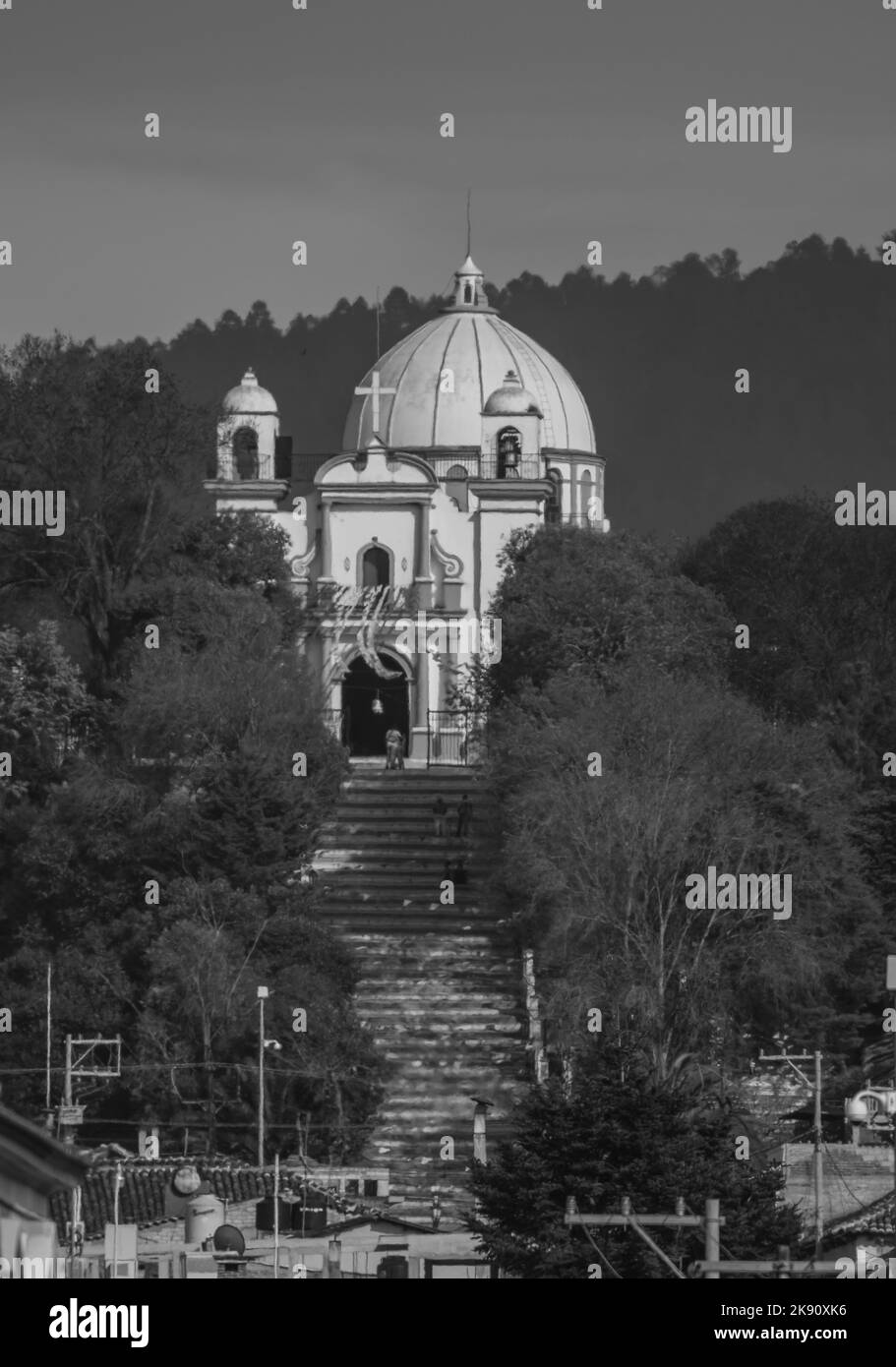 A vertical grayscale of Cerro del Obispado with trees in the foreground ...