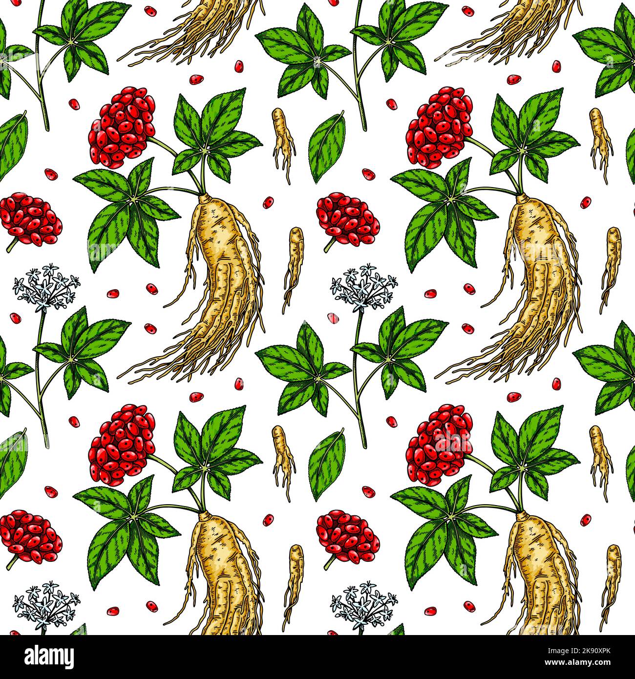Colorful Hand drawn ginseng seamless pattern. Vector illustration in ...