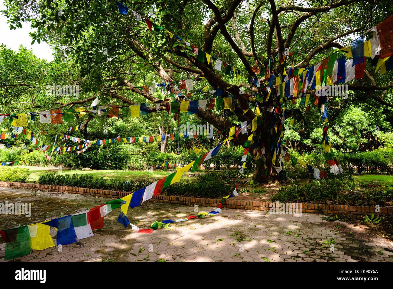 The Tibetan Buddhist Prayer Flags hanging from the trees in Maya Devi ...