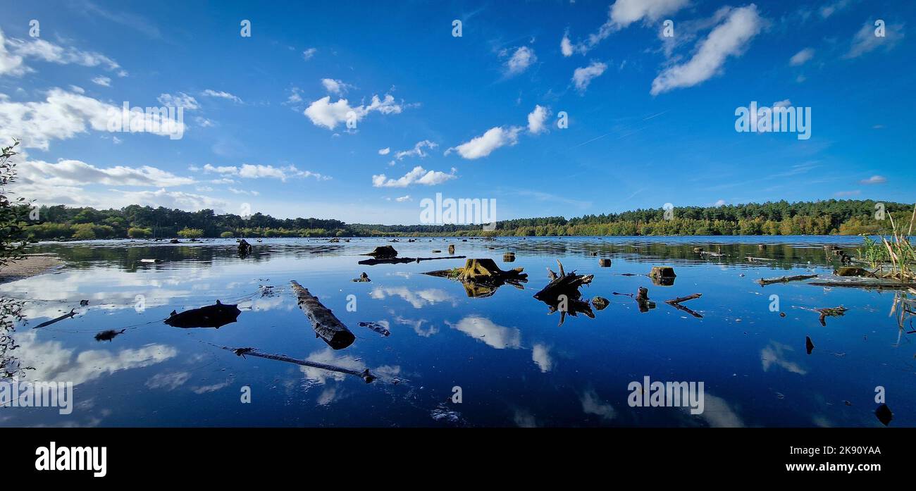 A scenic view of calm lake with reflection of trees and sky on the ...