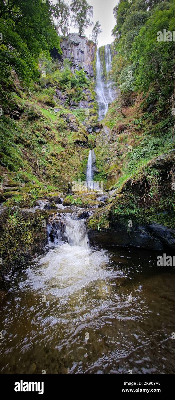 A natural view of waterfall flowing downstream in a forest Stock Photo ...