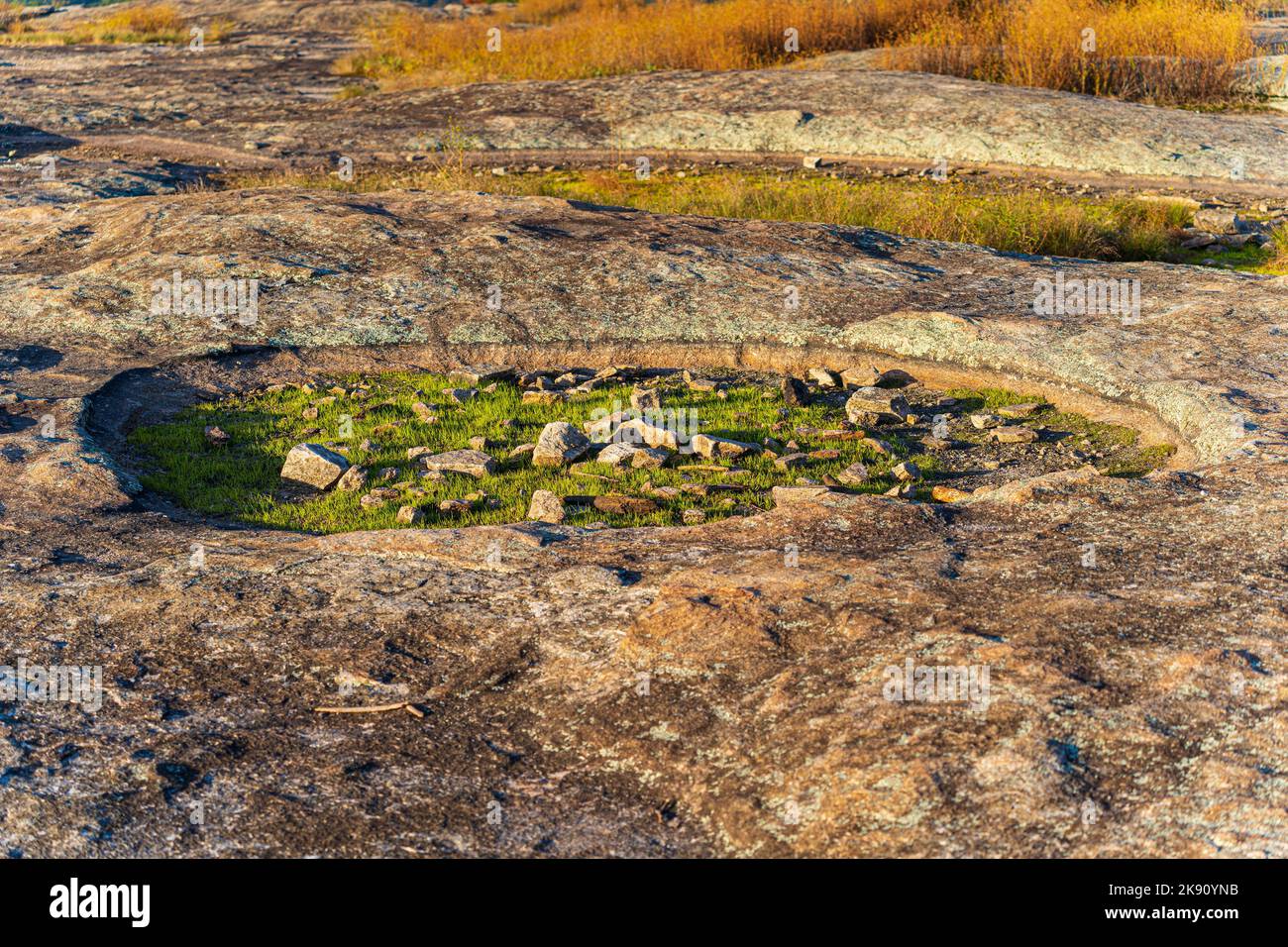 A solution pit on Arabia Mountain outside Atlanta, Georgia with grass ...