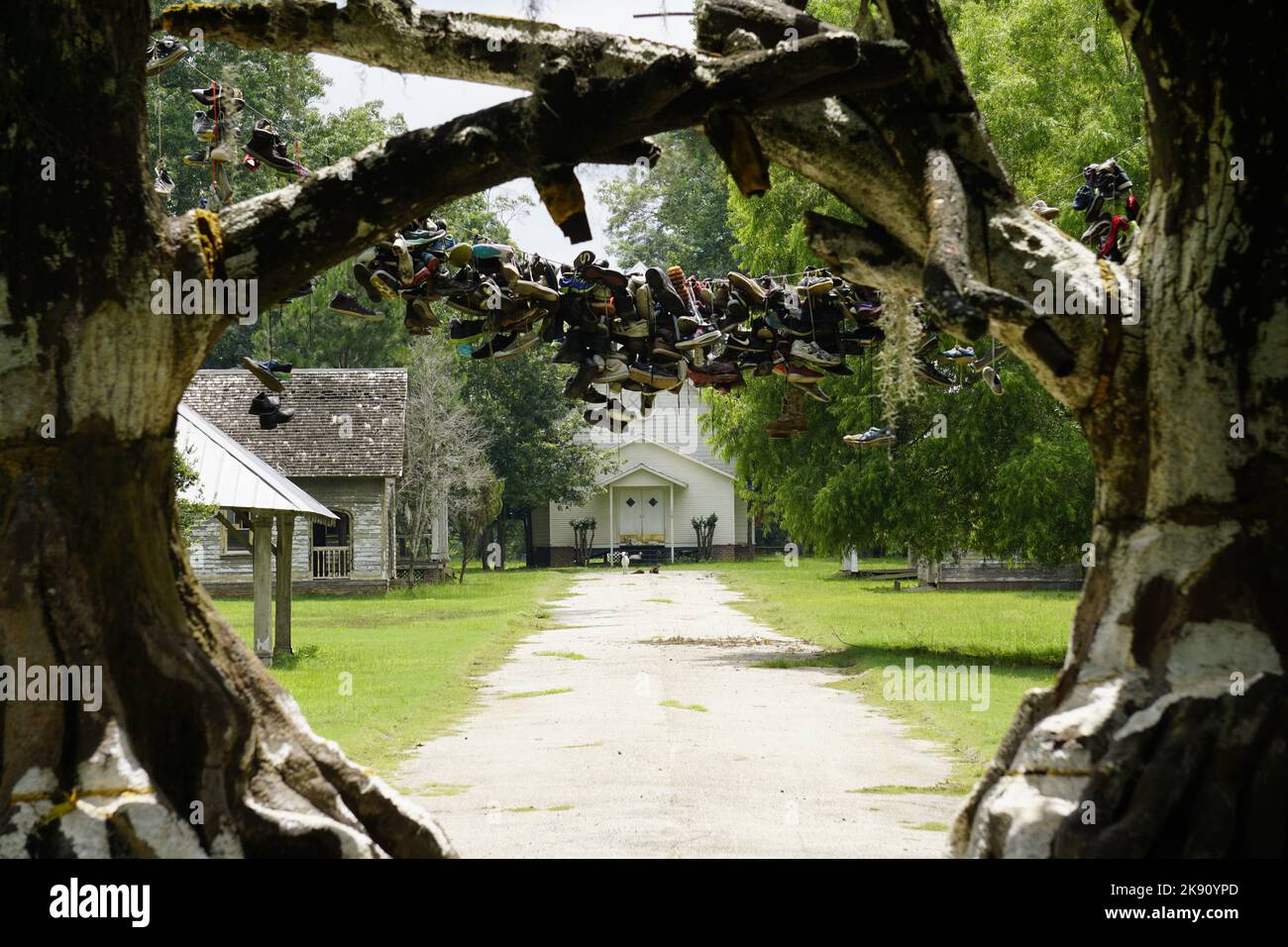 The Big Fish movie set with shoe tree in Spectre town in Millbrook ...