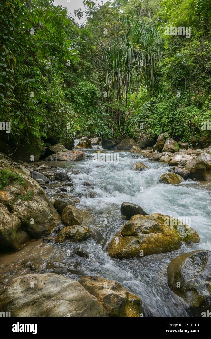 Beautiful tropical landscape with river and forest in Gunung Leuser ...