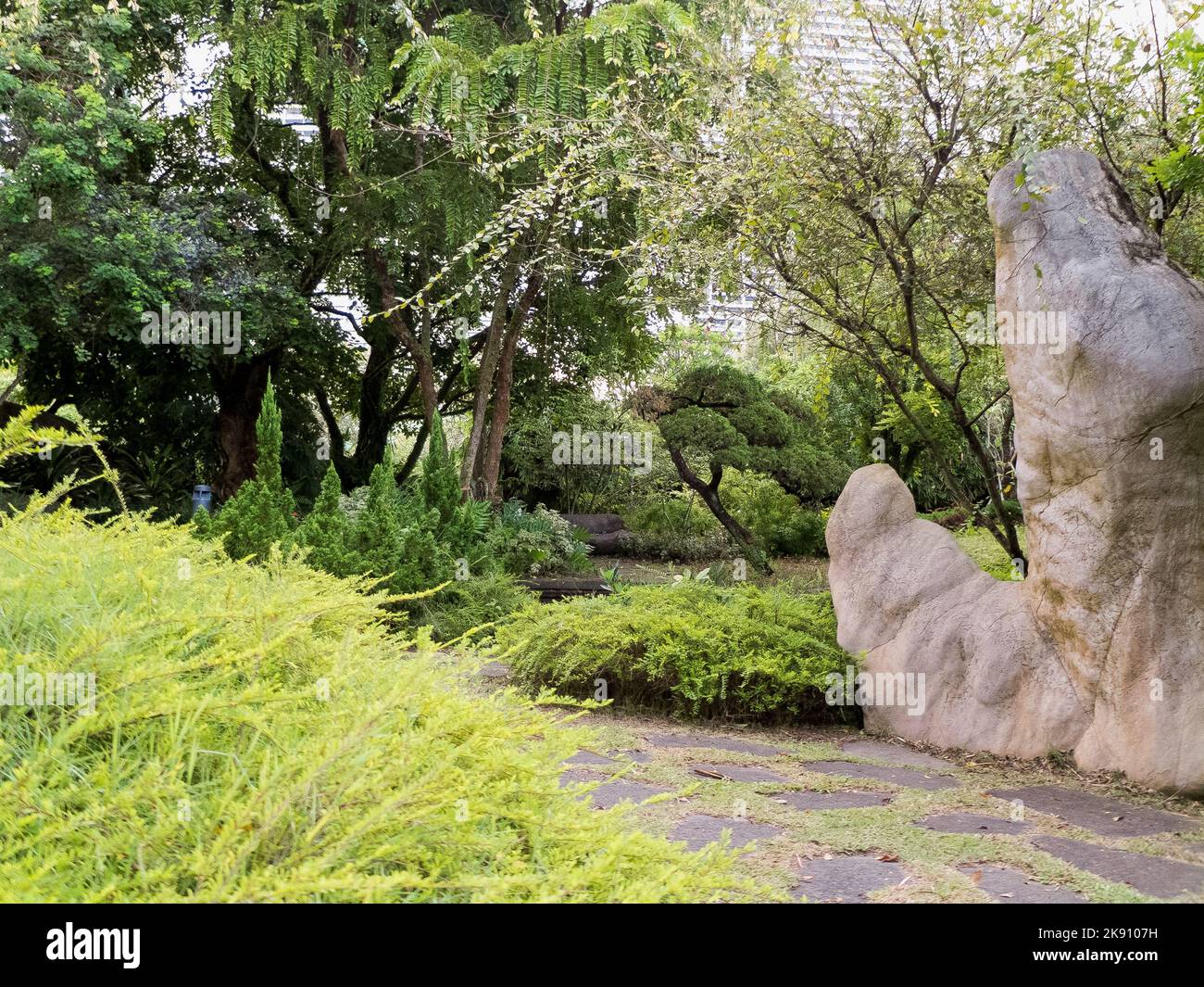 The beautiful garden view with the exotic trees and greenery Stock ...