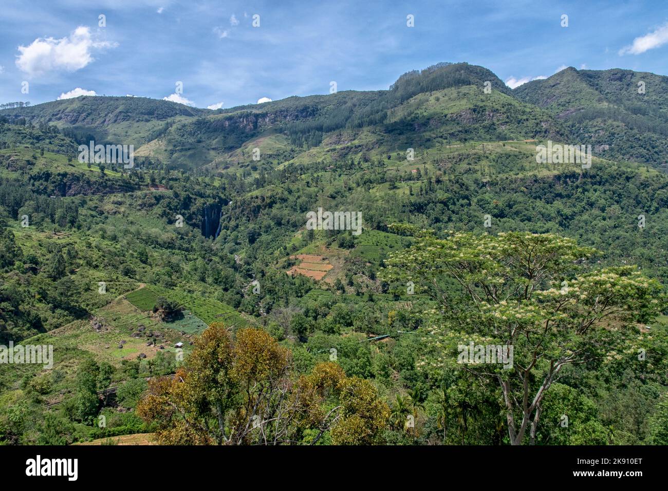 Dunhinda sri lanka hi-res stock photography and images - Alamy